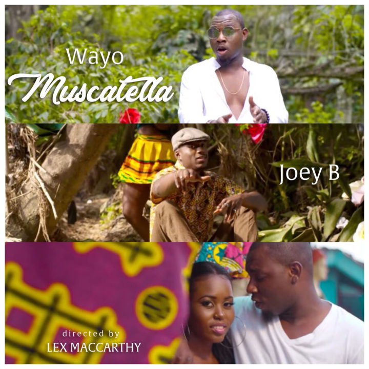 VIDEO: Wayo - Muscatella ft. Joey B | Notjustok